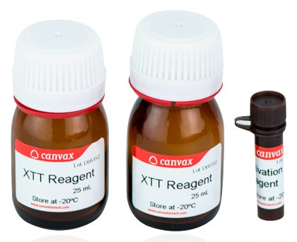 XTT Cell Proliferation Assay Kit